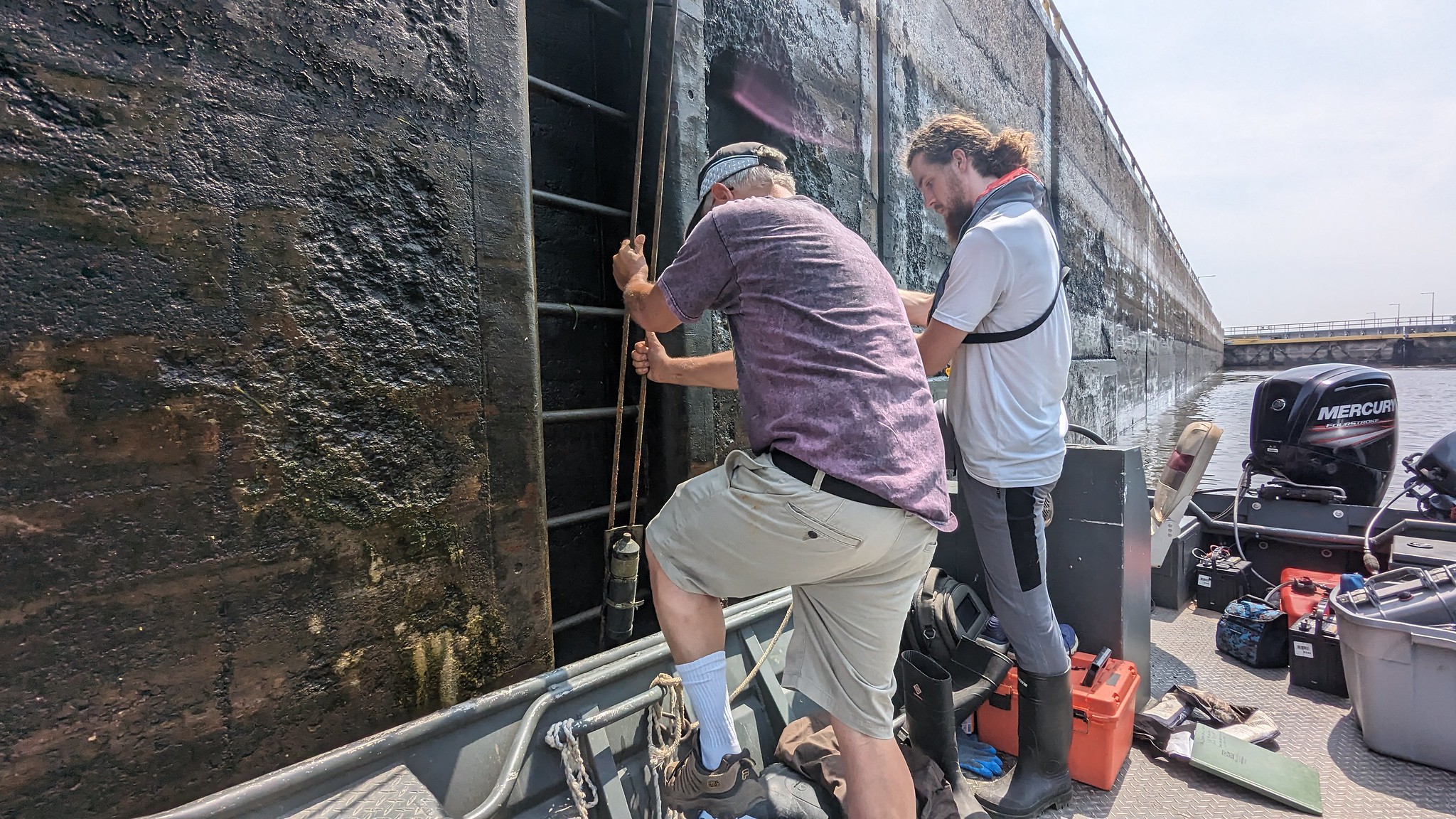 What the research says about how to stop invasive carp | Friends of the ...