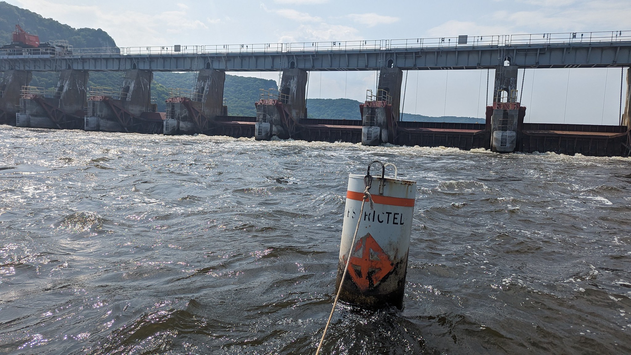 What the research says about how to stop invasive carp | Friends of the ...