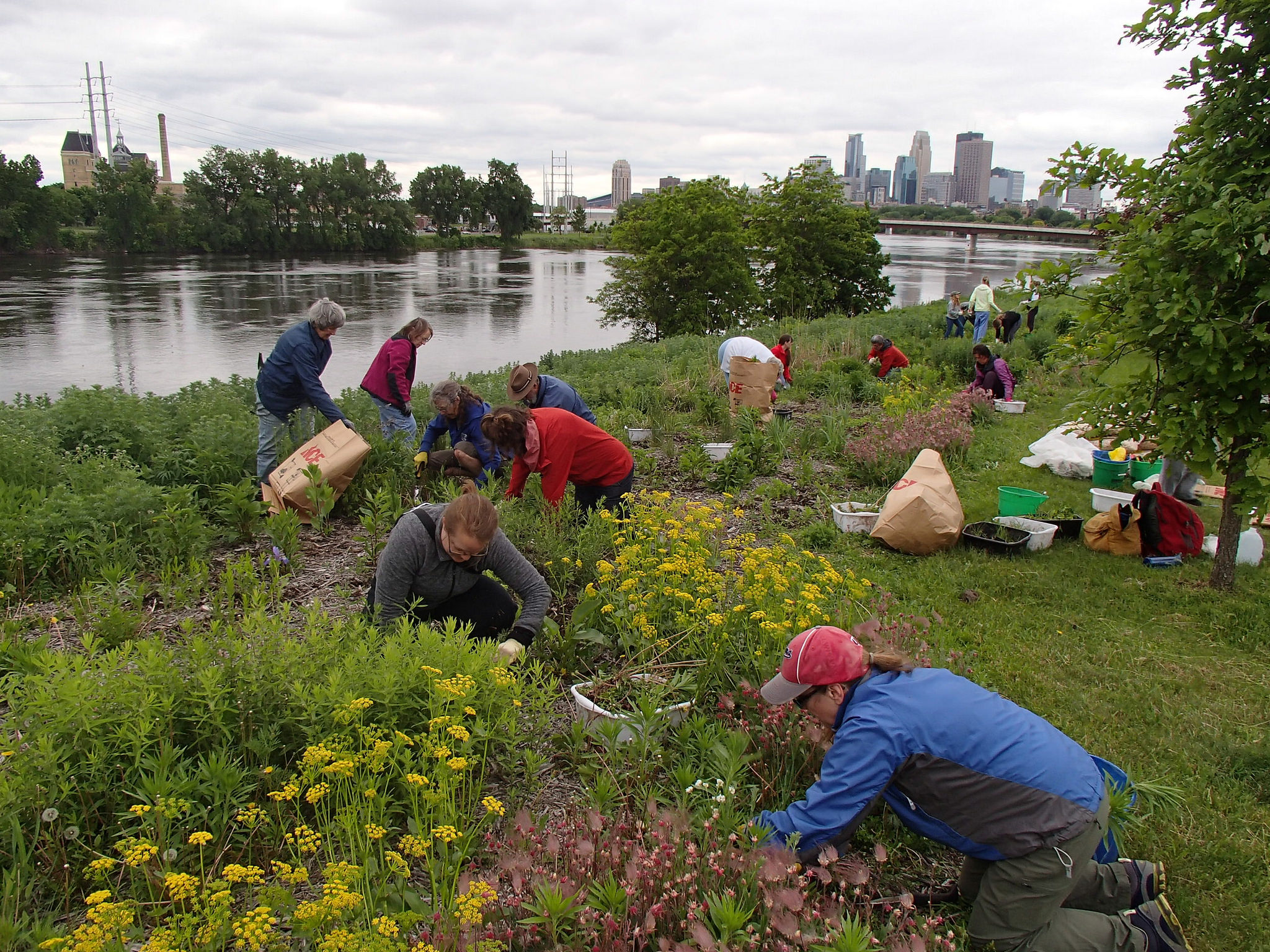 Volunteer | Friends of the Mississippi River