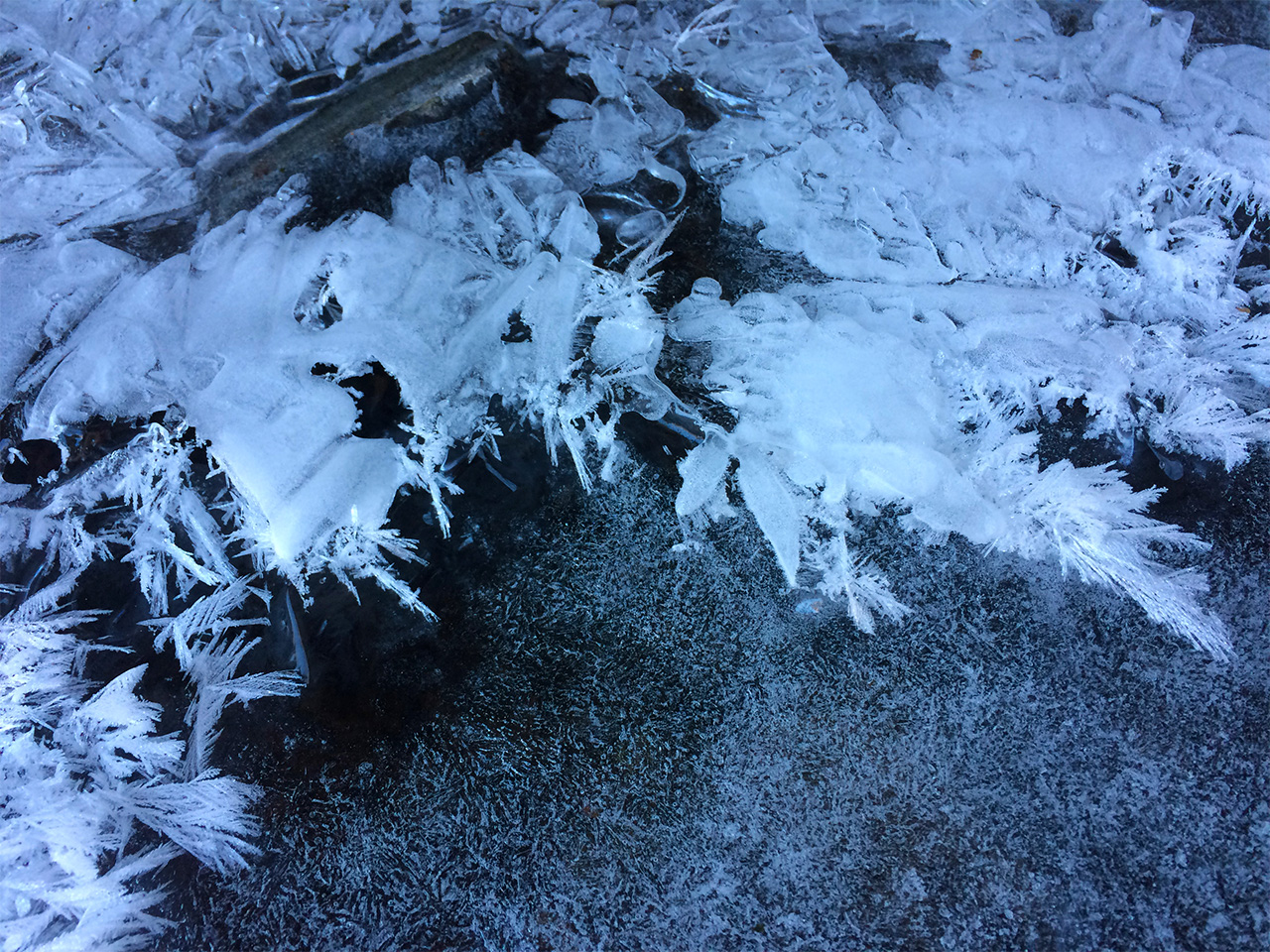 Learn to salt smart this winter >> | Friends of the Mississippi River