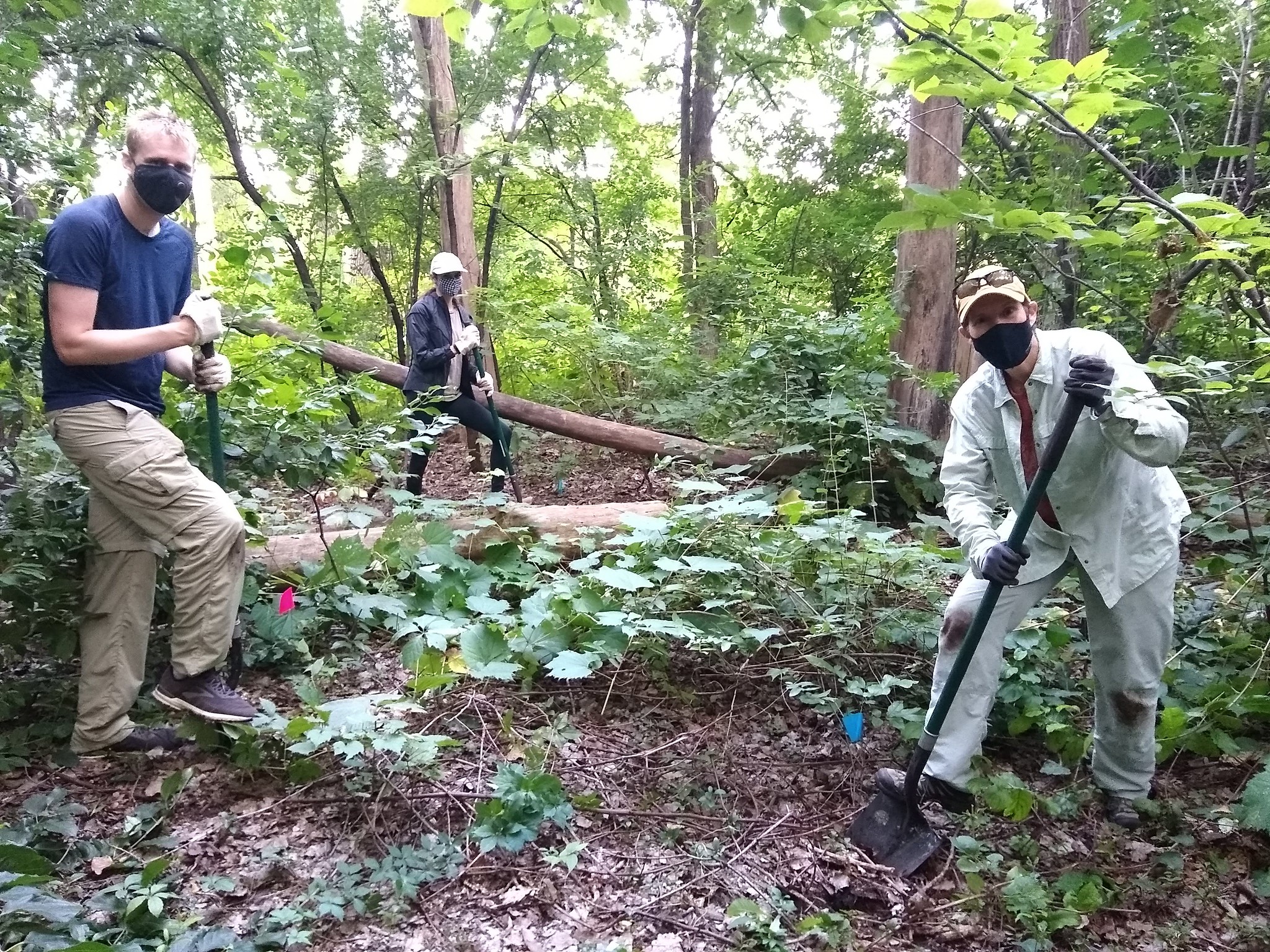 Plant trees near the Mississippi River Gorge Sand Flats [FULL ...