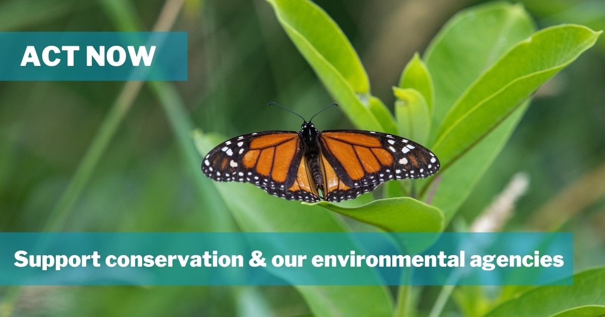 Special Session Action Alert: Support conservation & our environmental ...