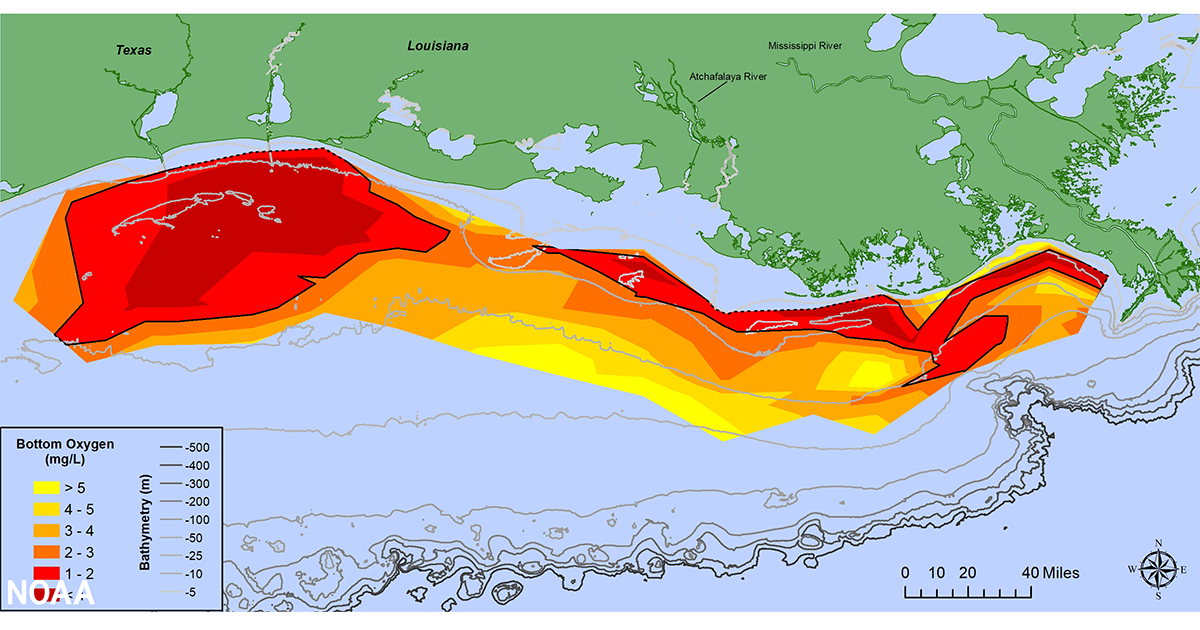 2021 Gulf of Mexico dead zone far bigger than expected | Friends of the ...