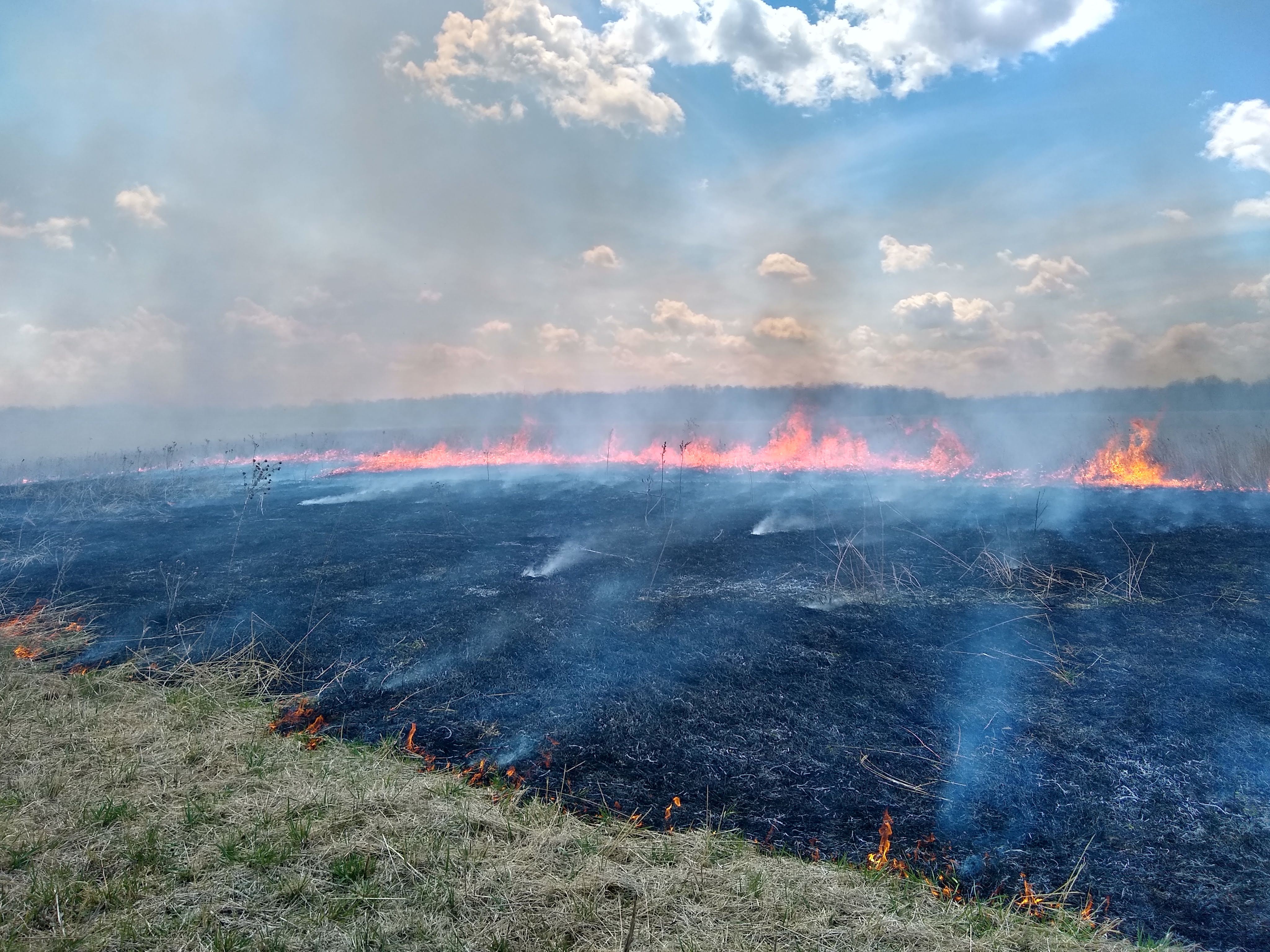 Blazing the way for habitat through a challenging spring burn season ...