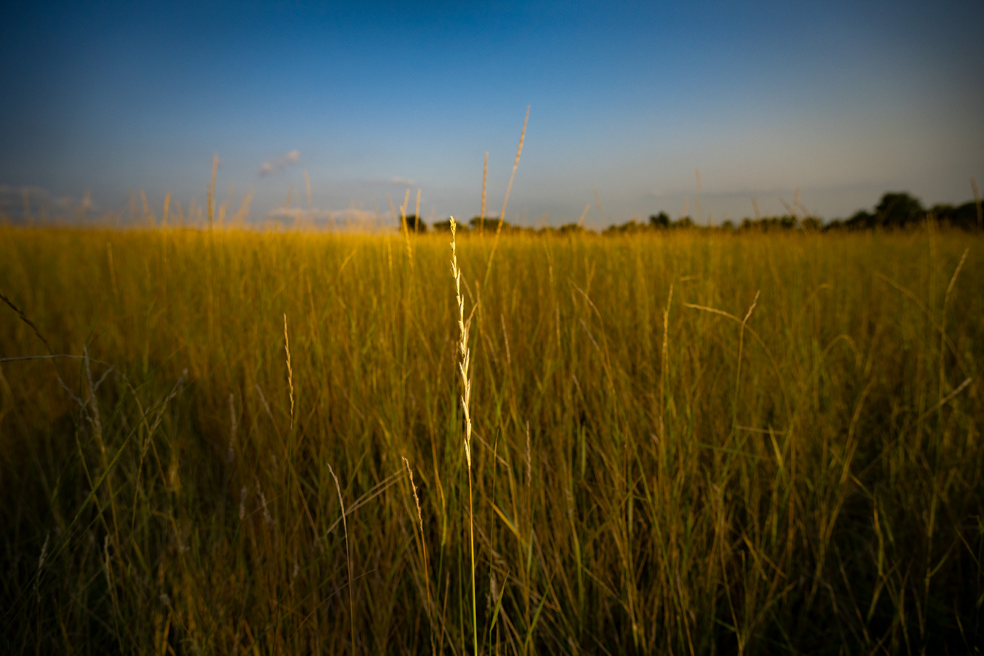 Clean-water crop measures move forward at the Legislature | Friends of ...